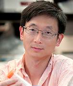 Sheng DING, Ph.D.-School of Pharmaceutical Sciences Tsinghua University